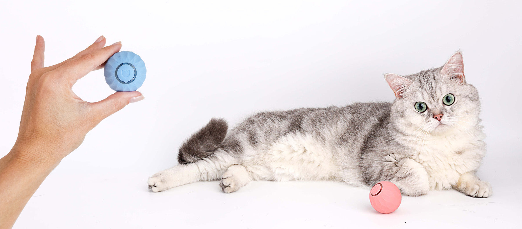 WLOOM | Für Katzenfreunde